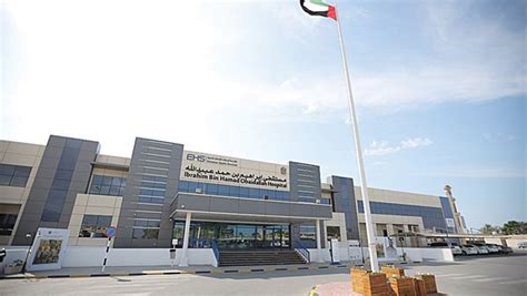 A Quantum Leap In Stroke Treatment At Ibrahim Obaidullah Hospital Archyde