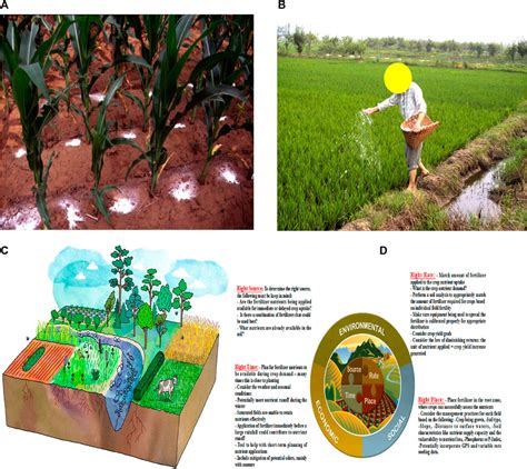 Frontiers Advances In Ecotechnological Methods For Diffuse Nutrient