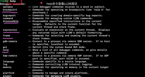 Lldb调试详解 逆向开发 数据库 It技术