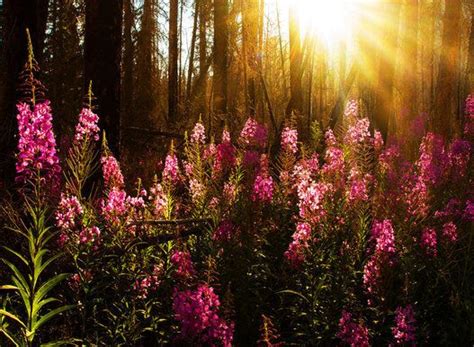 Alberta Photographer Of The Month Amanda Nand Photos Huffpost Alberta