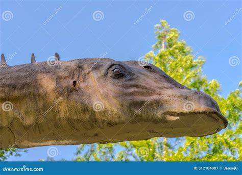Poland Baltow May 30 2023 At 1604 The Head Of A Sauropod