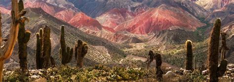 Salta Argentinië Tips En Bezienswaardigheden 333travel