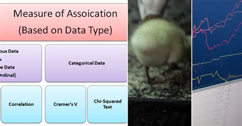 list correlation types and applicability curated by hiroshi thurber