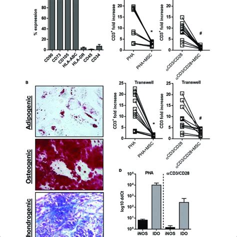 Supramolecular Self Assembly Of Amps And Amyloids Enables Membrane