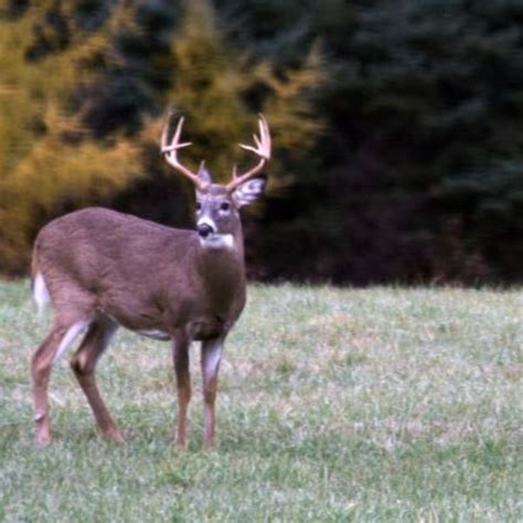 Stream Question Marks By Andy Mcclelland Listen Online For Free On Soundcloud