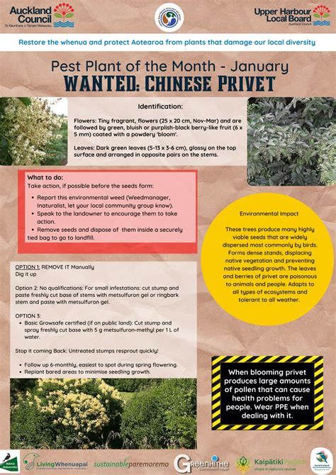 Pupuke Birdsong Project Home