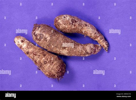 Closeup Of Taro Root Vegetable Eddo Malanga Hands Table Slice Stock