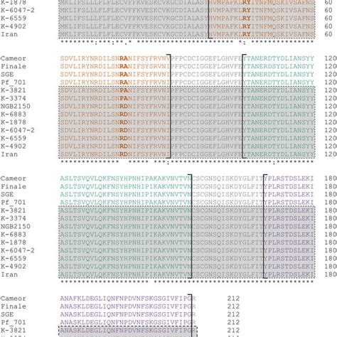 Alignment Of The Putative Receptor Domain Sequences Of Lykx Protein