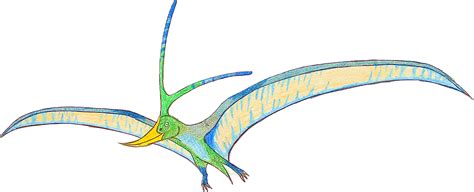 Nyctosaurus By Gustthank On Deviantart