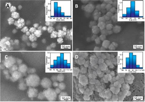 Sem Images And Corresponding Histogram Right Inset Of Flower Like