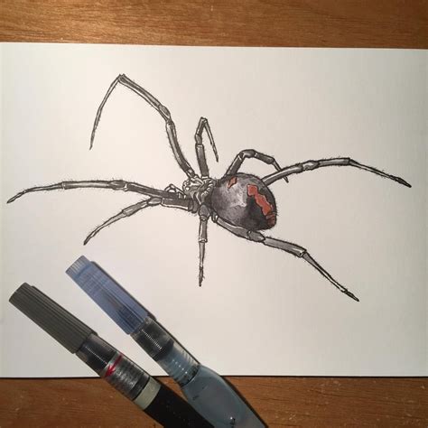 How To Draw Black Widow Spider
