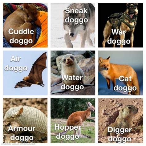 Classification Memes Worst Jokes Ever