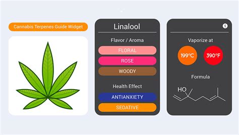 Linalool Terpene Exploring Its Uses And Benefits