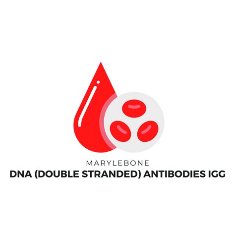 Dna Double Stranded Antibodies Igg Marylebone Diagnostic Centre