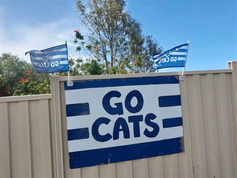 Heart To Heart Heart To Heart Equine Assisted Therapy