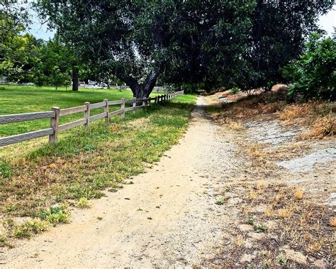 The Path Photograph By Andrew Lawrence Fine Art America