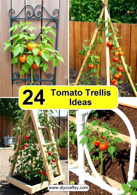 24 Tomato Trellis Ideas For Healthy And Productive Gardens
