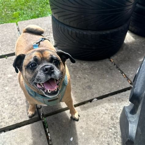 Mollywoods • Threads Say More Mollywoods • Threads Say More