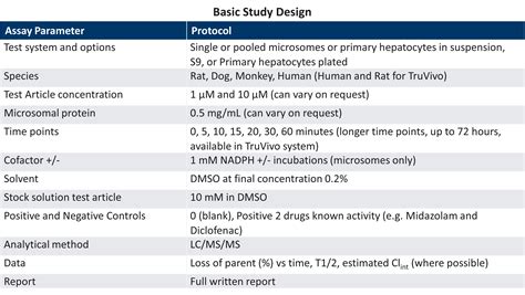 Metabolic Stability Basic Study Design