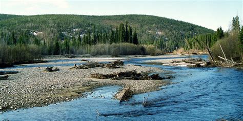 Confluence Confluence Of The East Fork And The North Fork … Flickr