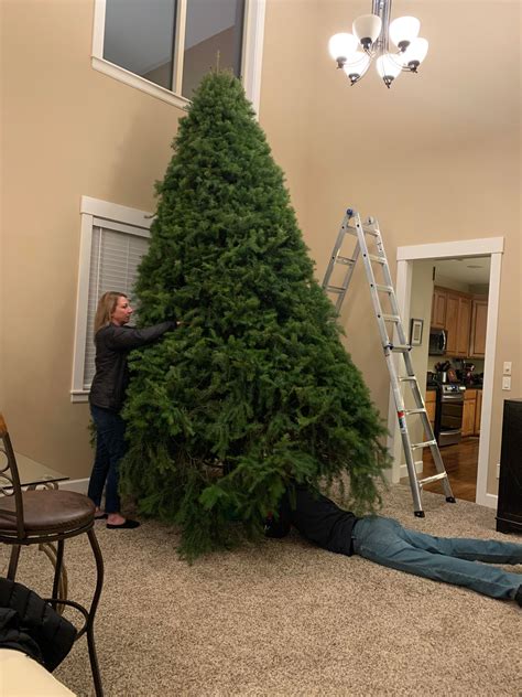 How To Get This Big 15 Foot Tree To Stop Leaning Rchristmastrees