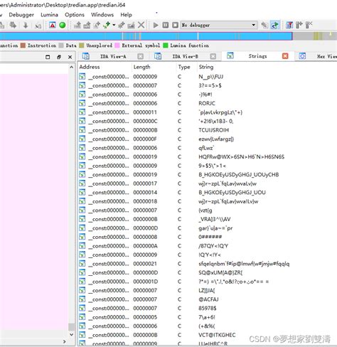 ida 64 string中文乱码 ida 中文乱码 csdn博客