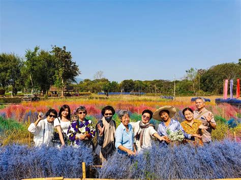 🌸🌸🌸 Flower Lover Cnx Gm Travel Design Coltd Facebook
