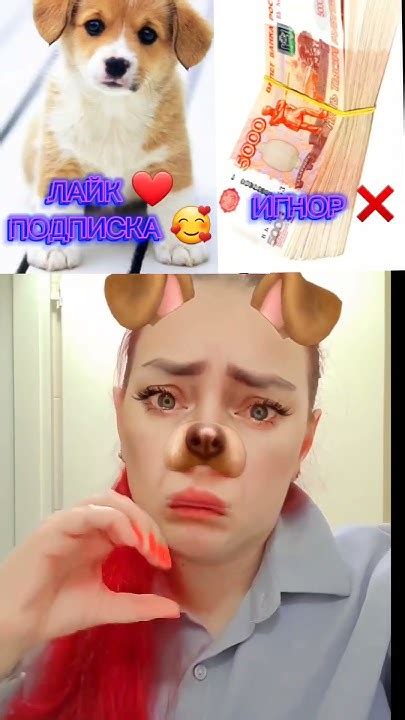 ЩЕНКА бросили в бассейн 😭😭😭 Youtube