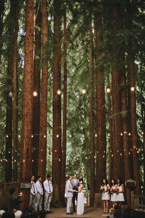 Idées De Décorations Pour Un Mariage Thème Forêt