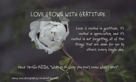 Cultivating Love And Gratitude