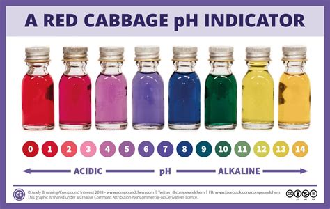 √ Red Cabbage Indicator Color Chart Alvis Twirlwing