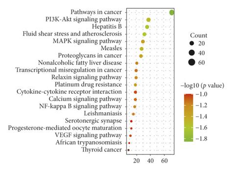 Functional Analysis Of Cif Against Hypertension A Go Analysis Of Key