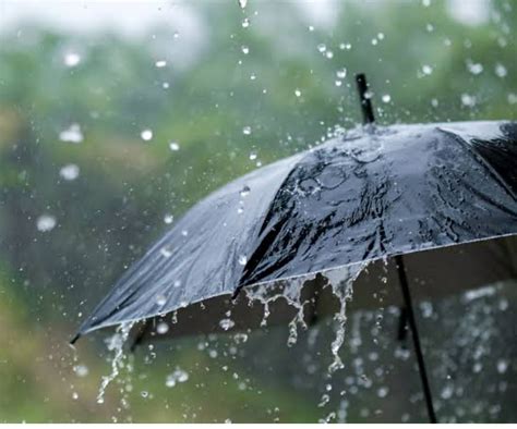 ಕರ್ನಾಟಕ ಈ ಕಡೆಗಳಲ್ಲಿ ಇನ್ನೂ ನಾಲ್ಕು ದಿನಗಳ ಕಾಲ ಭಾರಿ ಮಳೆ ಹವಾಮಾನ ಇಲಾಖೆ ಮುನ್ಸೂಚನೆ E Mungaru