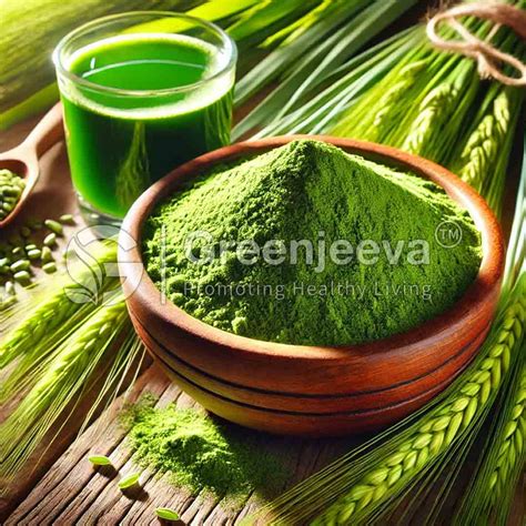 Bulk Barley Grass Powder Trusted Supplier In Canada