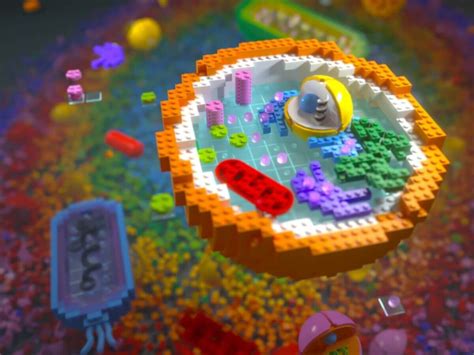 Assembly Theory Unites Physics And Biology To Explain The Universe