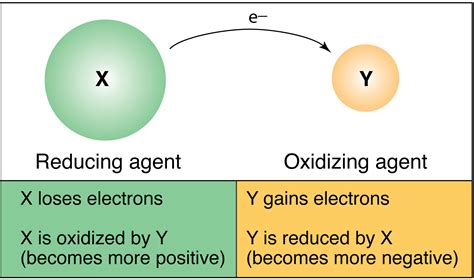 Averys Pre Ap Chem Blog Redox Reactions