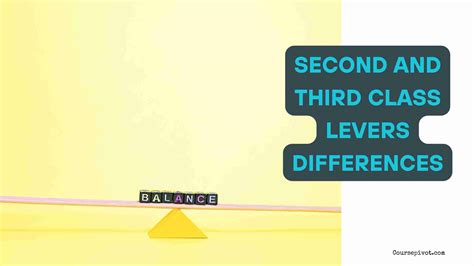 Explain What Distinguishes First Class Levers From Second And Third