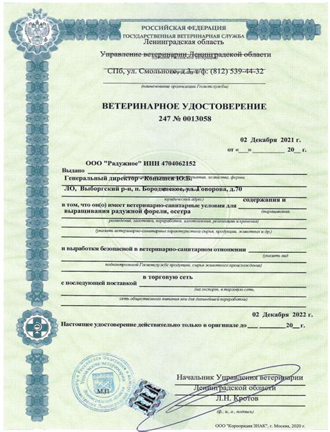 Купить рыбу
