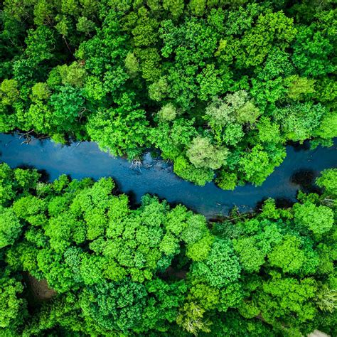 Policies Hitrac Engineering Group Spa