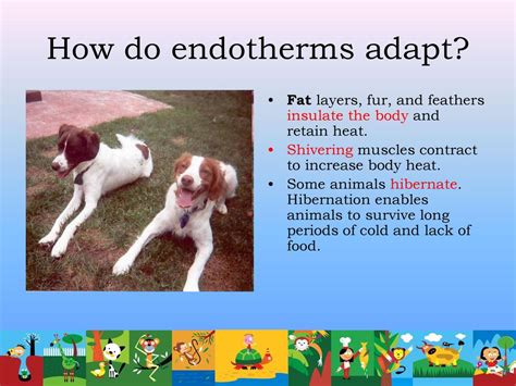 Science Starter Friday April 7 2017 Day 1 Ppt Download