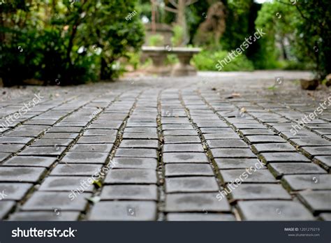 14640 Imágenes De Cobble Stone Walking Path Imágenes Fotos Y 14640 Imágenes De Cobble Stone Walking Path Imágenes Fotos Y