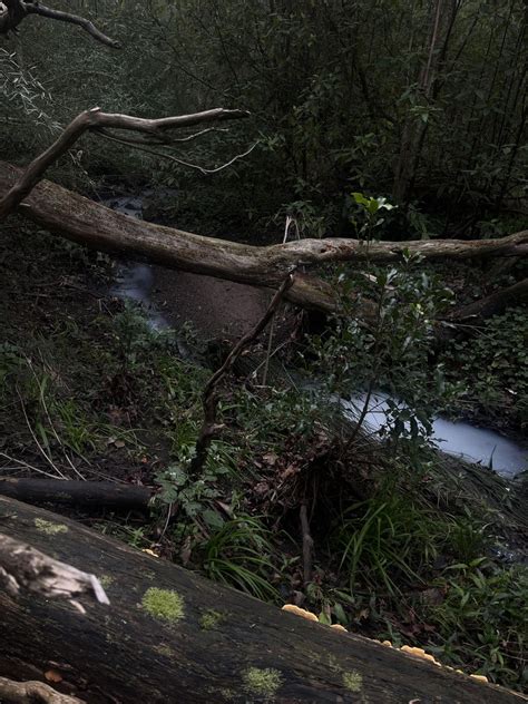 Why Is My Local Stream This Colour Routdoors