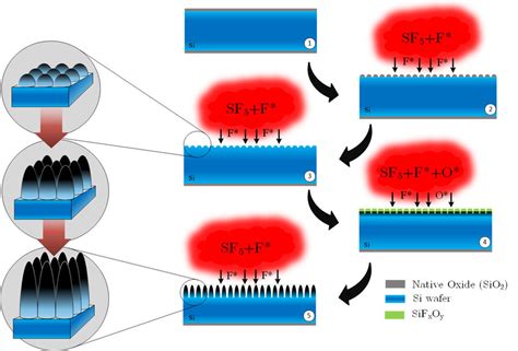 7 Schematic View Of Plasma Etching Based Black Si Nanostructure Formation Download Scientific