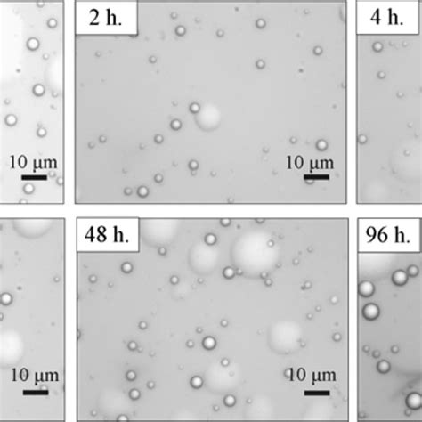 Pdf Droplet Crystallization In Water In Crude Oil Emulsions