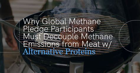 Decoupling Methane Emissions From Meat With Alternative Proteins