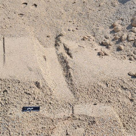 Sable 06 Concassé Calcaire Premium Livré En 48h Au Meilleur Prix