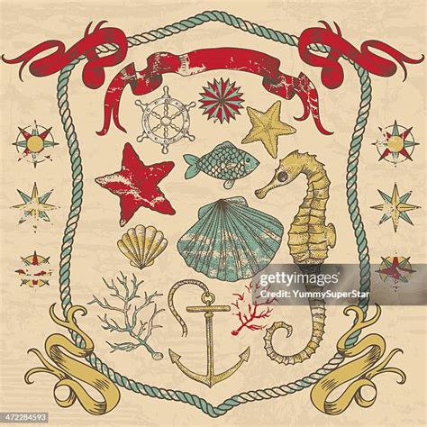 Compass Rose Cartoon Photos And Premium High Res Pictures Getty Images