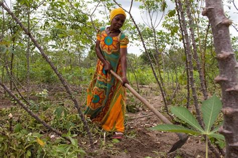 New Approach To Analysing Gender Equality In The Forest Sector