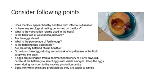 Viral Innoculation Methodspdf Free Download