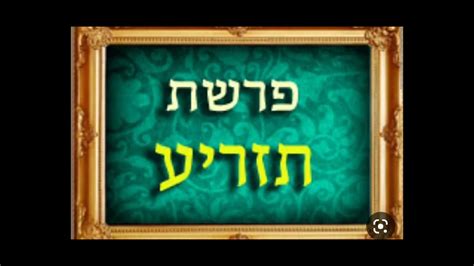 תזריע פרשת תזריע קריאה בנוסח ירושלמי Youtube